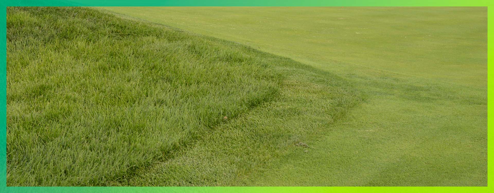 FAIRWAY OPTIONS – Redox Bio-nutrients