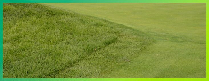 TURFRX™ OXYCAL – WHY, WHEN AND HOW? – Redox Bio-nutrients