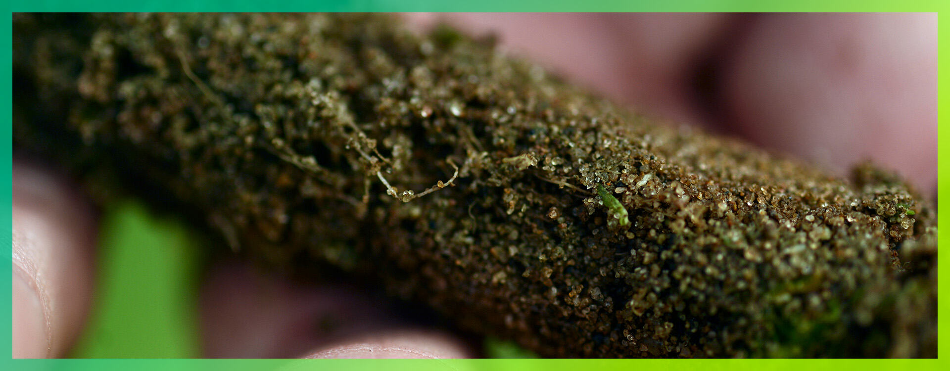 TURFRX™ OXYCAL – WHY, WHEN AND HOW? – Redox Bio-nutrients