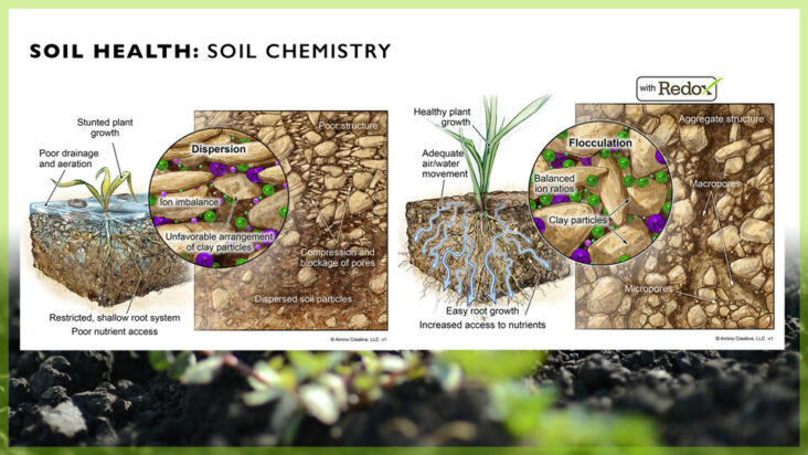 CALCIUM IN SOIL STRUCTURE AND PLANT NUTRITION – Redox Bio-nutrients