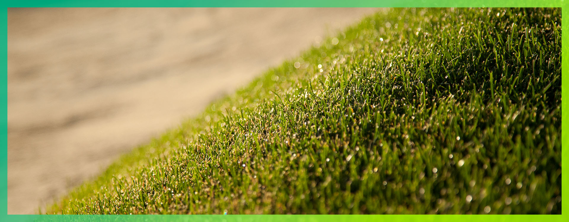 Achieving Phosphorus Efficiency for Strong Root Development – Redox Bio ...