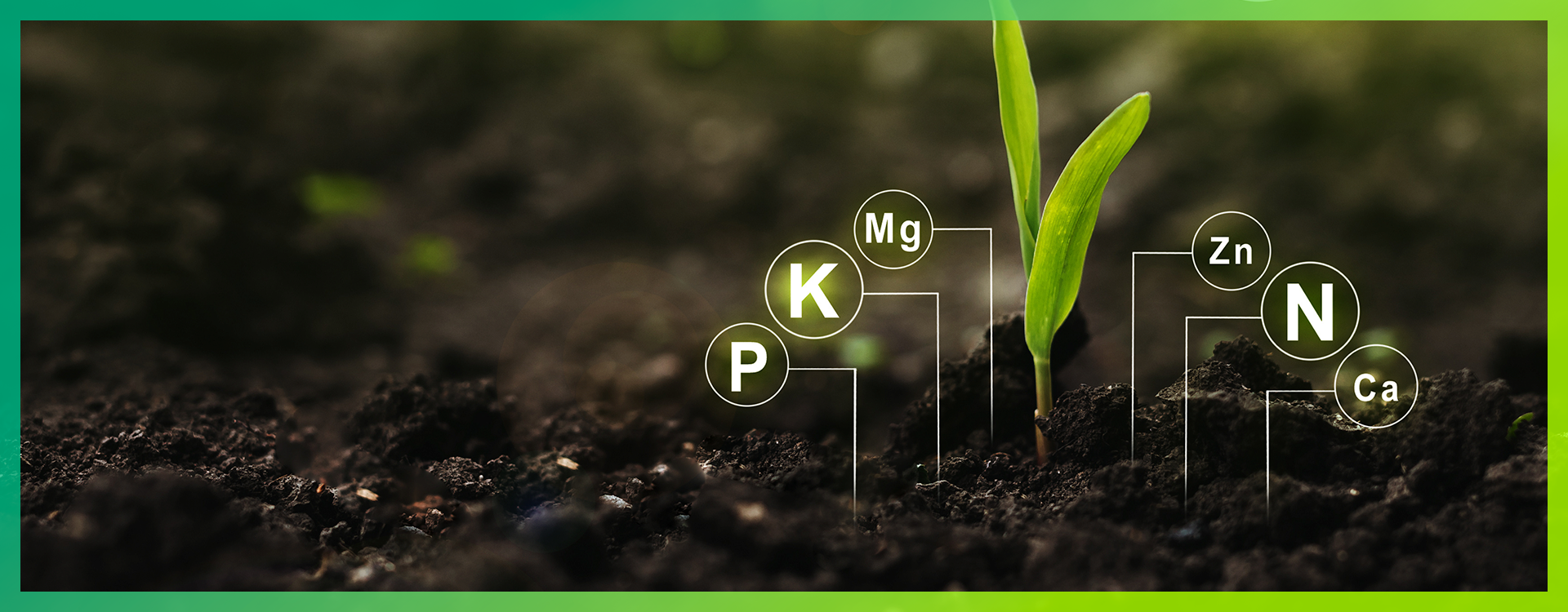 Proper Balance Maximizes Productivity – Redox Bio-nutrients